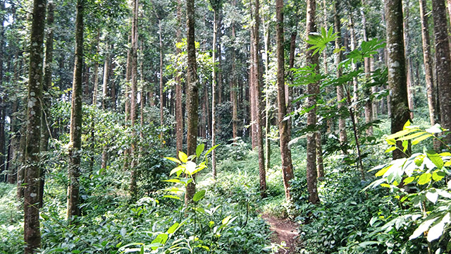 Curug Citaman, Air Terjun Indah di Kaki Gunung Salak