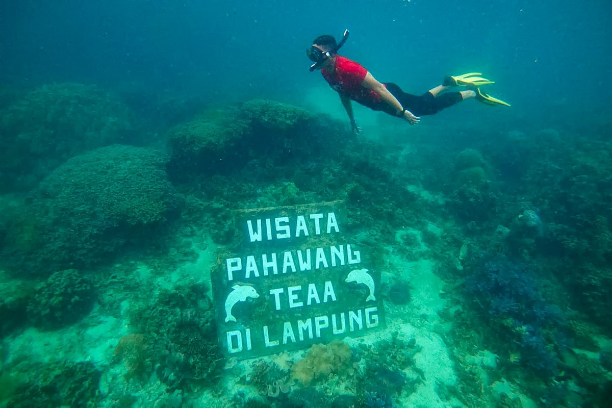 Desa Wisata Pulau Pahawang Lampung, Diharapkan Fokus Kembangkan Alam dan Budaya